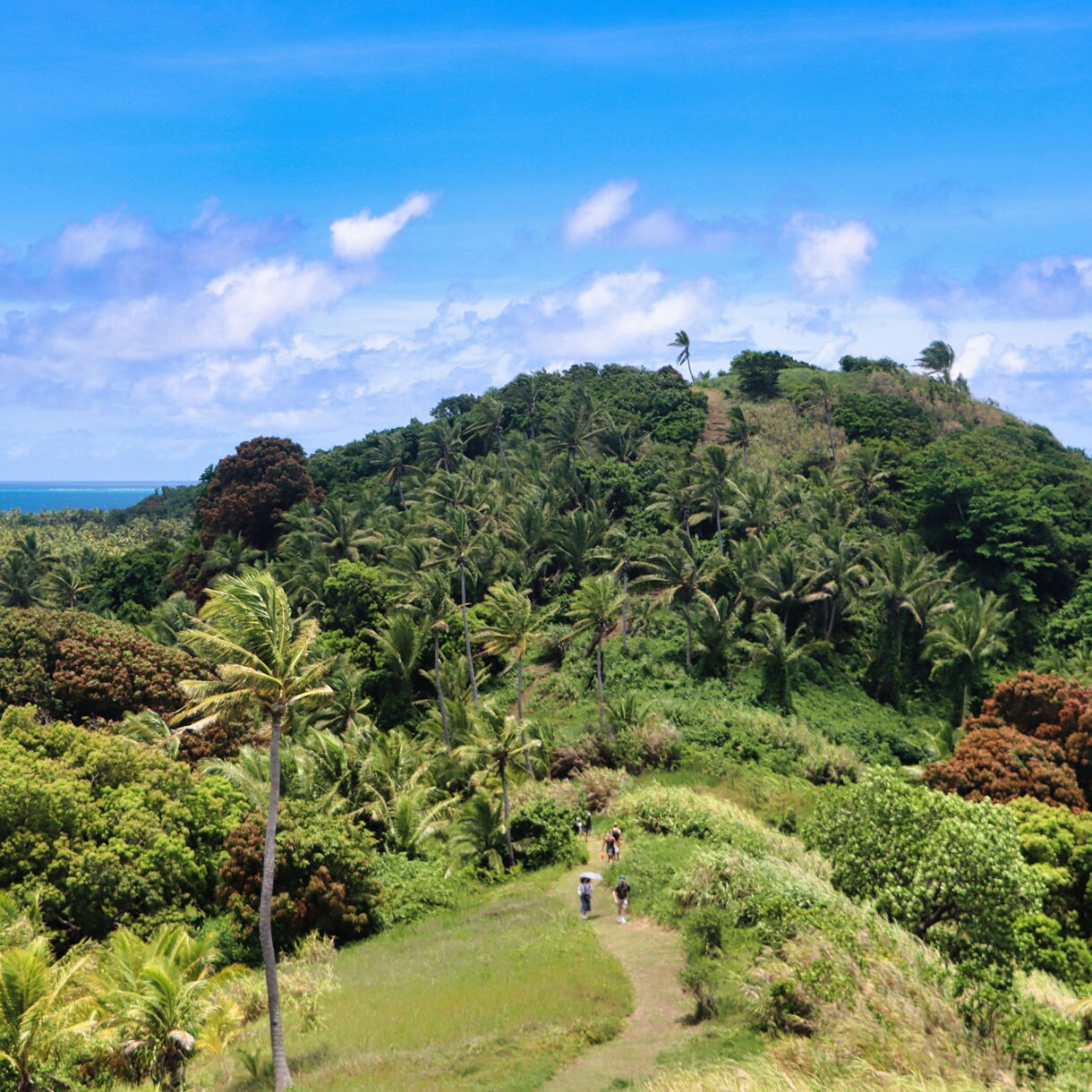 Cruises from Sydney - Princess Cruises