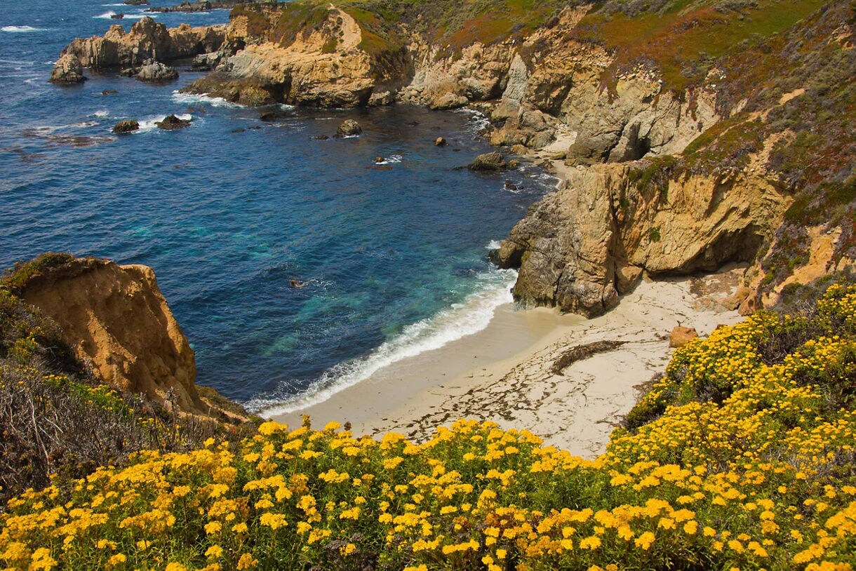 11 best beaches in Monterey California - Princess Cruises