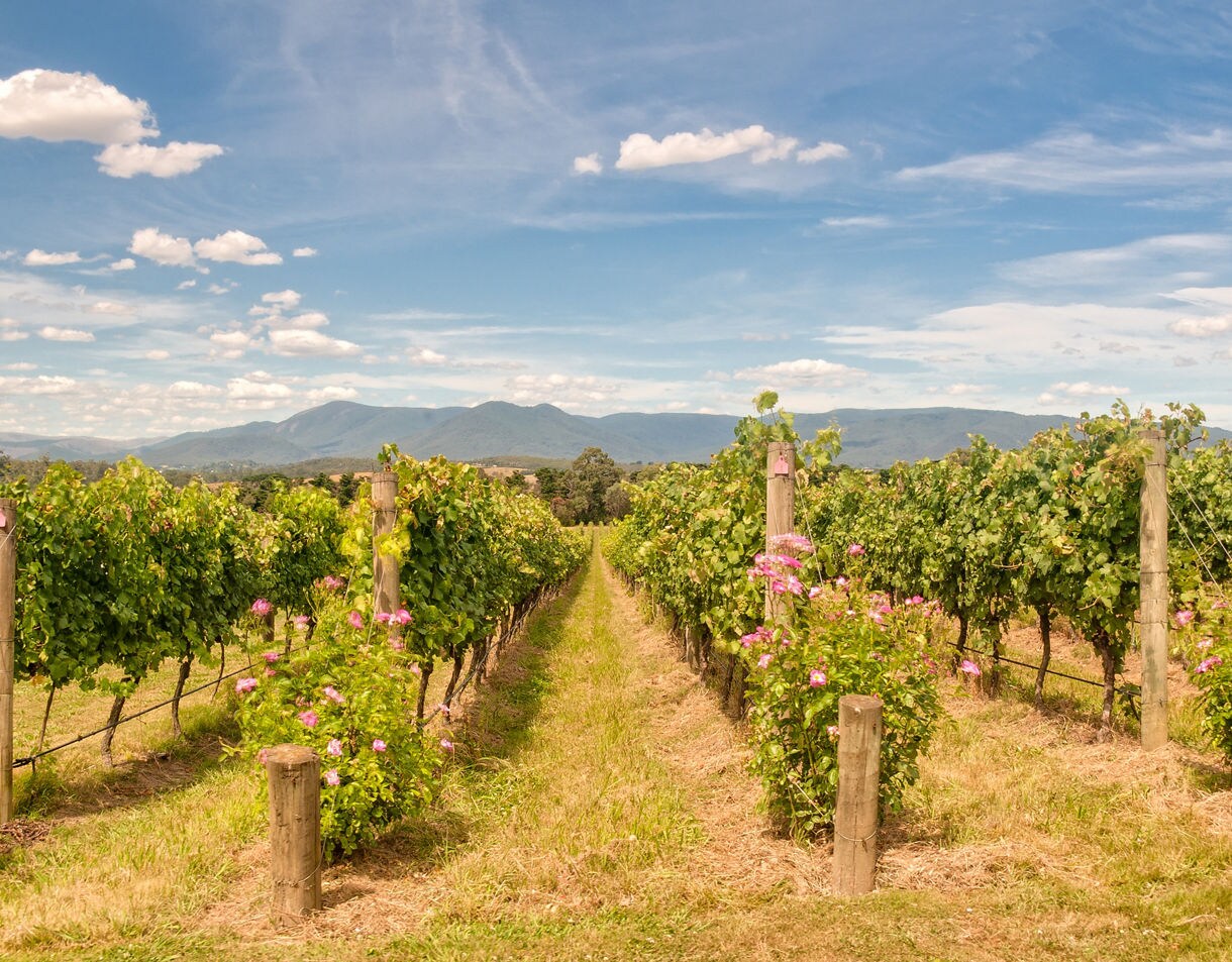 Cruises from Melbourne, Australia - Princess Cruises