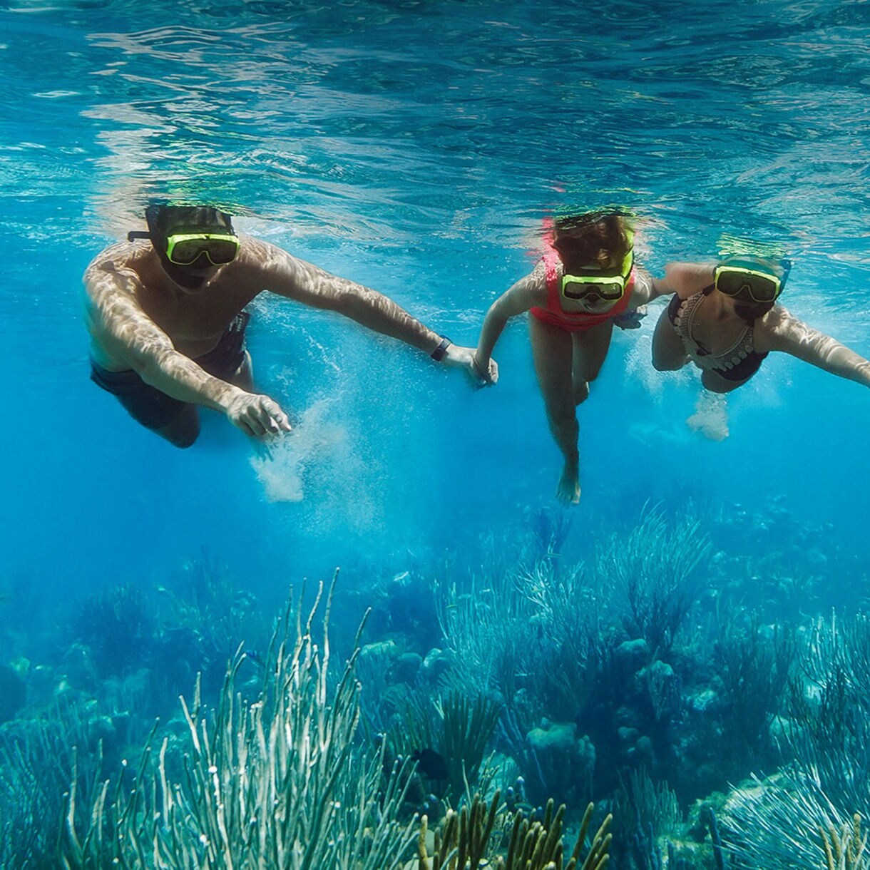 Shore Excursions - Cruise Ports - Princess Cruises