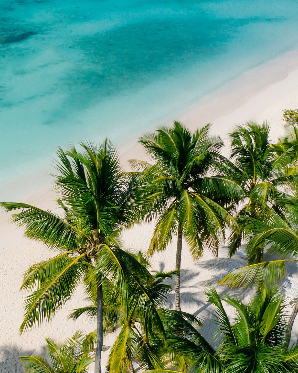 Exclusive Canadian Offer - Princess Cruises