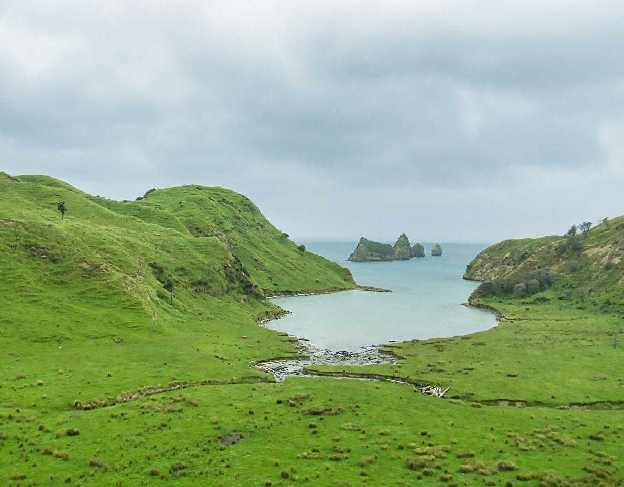 Cruises to Bay of Islands, New Zealand - Princess Cruises