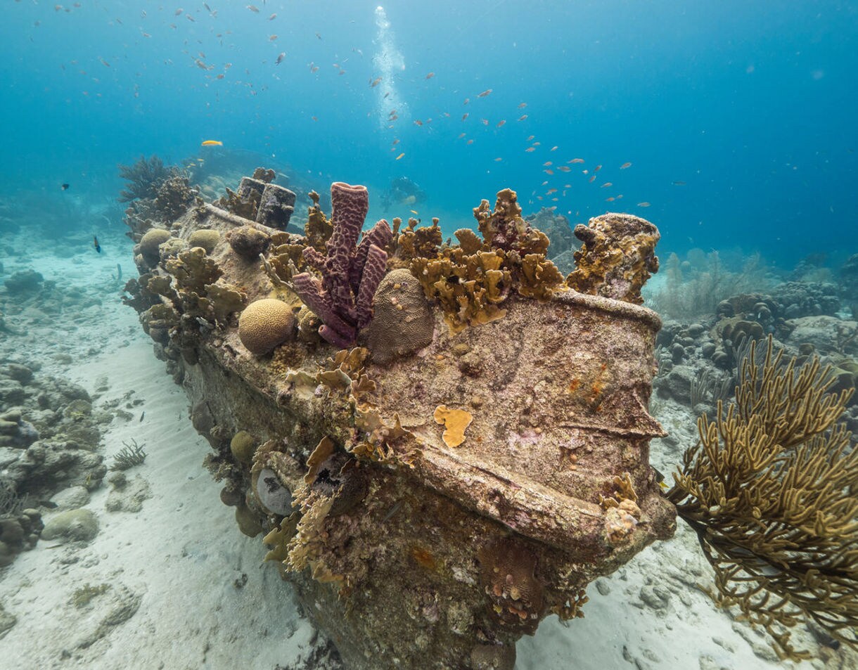 Cruises to Curacao - Caribbean Cruises - Princess Cruises