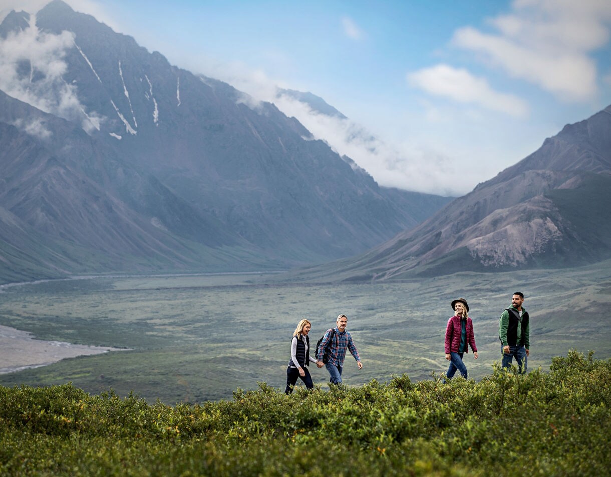 Alaska Cruise - Denali National Park - Princess Cruises