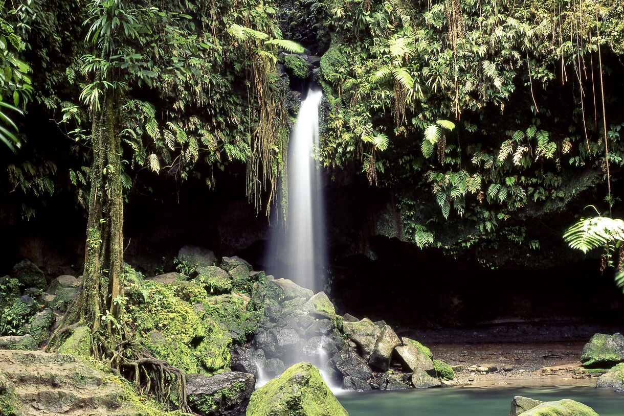 5 Best Dominica Waterfalls - Princess Cruises