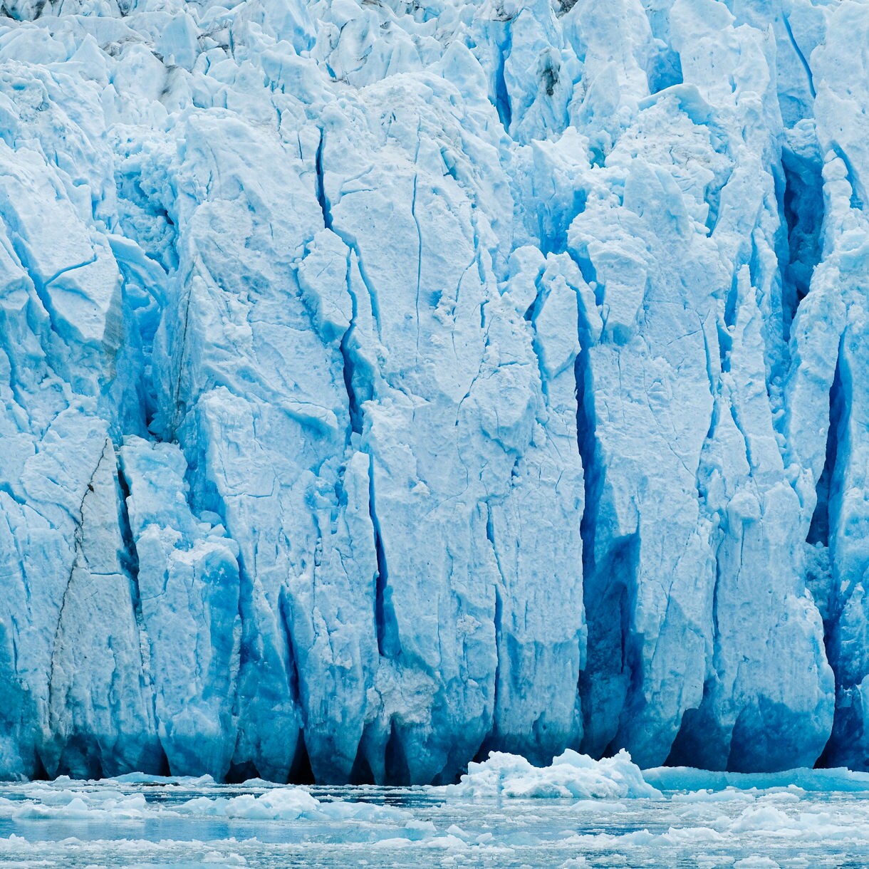 Cruises to Endicott Arm & Dawes Glacier - Alaska Cruises - Princess Cruises