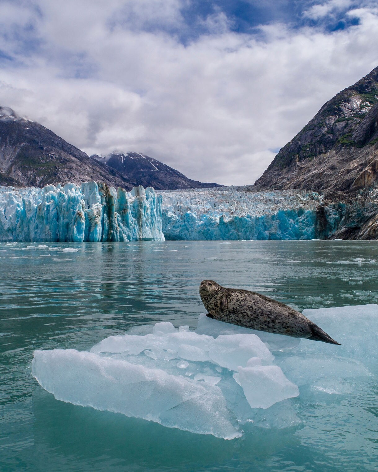 Cruises to Endicott Arm & Dawes Glacier - Alaska Cruises - Princess Cruises