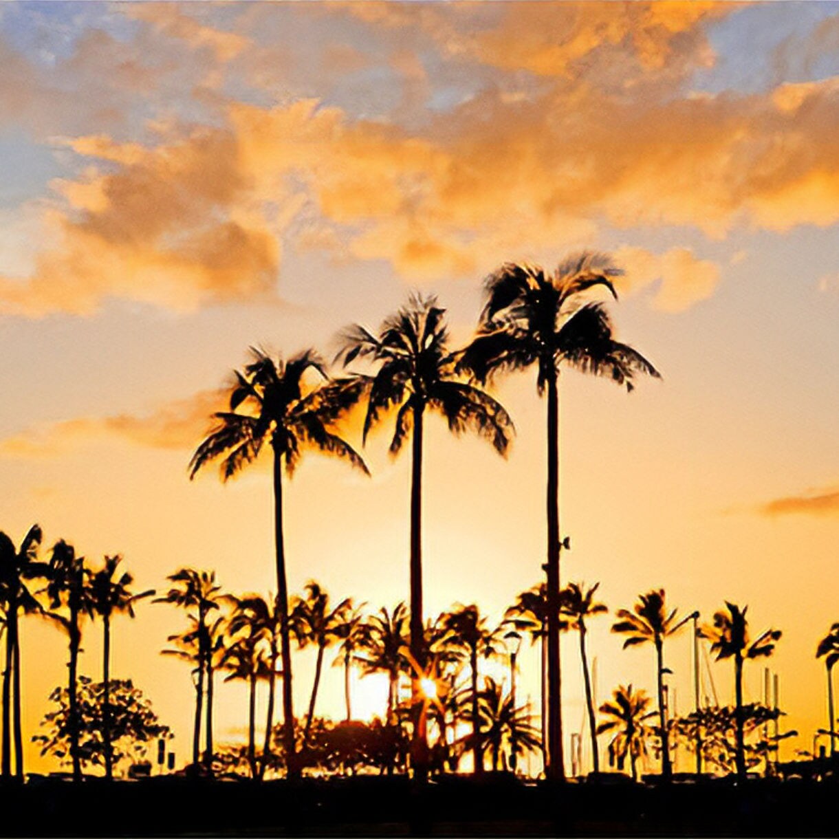 Hawaii Cruises 2026-2028 - Princess Cruises