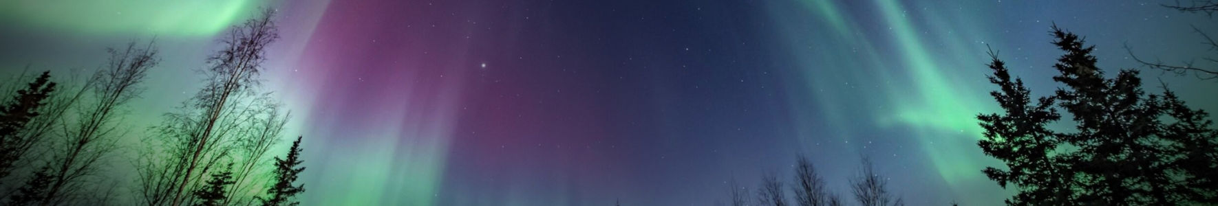 Comprehensive Alaska Cruise Packing List - Princess Cruises