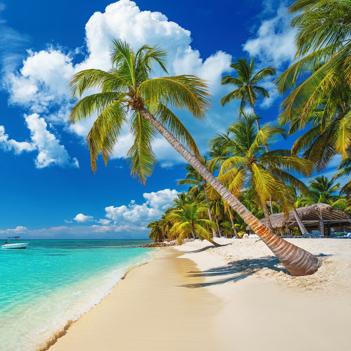 Cruise Deals 2025-2026 | Best Princess Cruise Deals & Offers - Princess ...