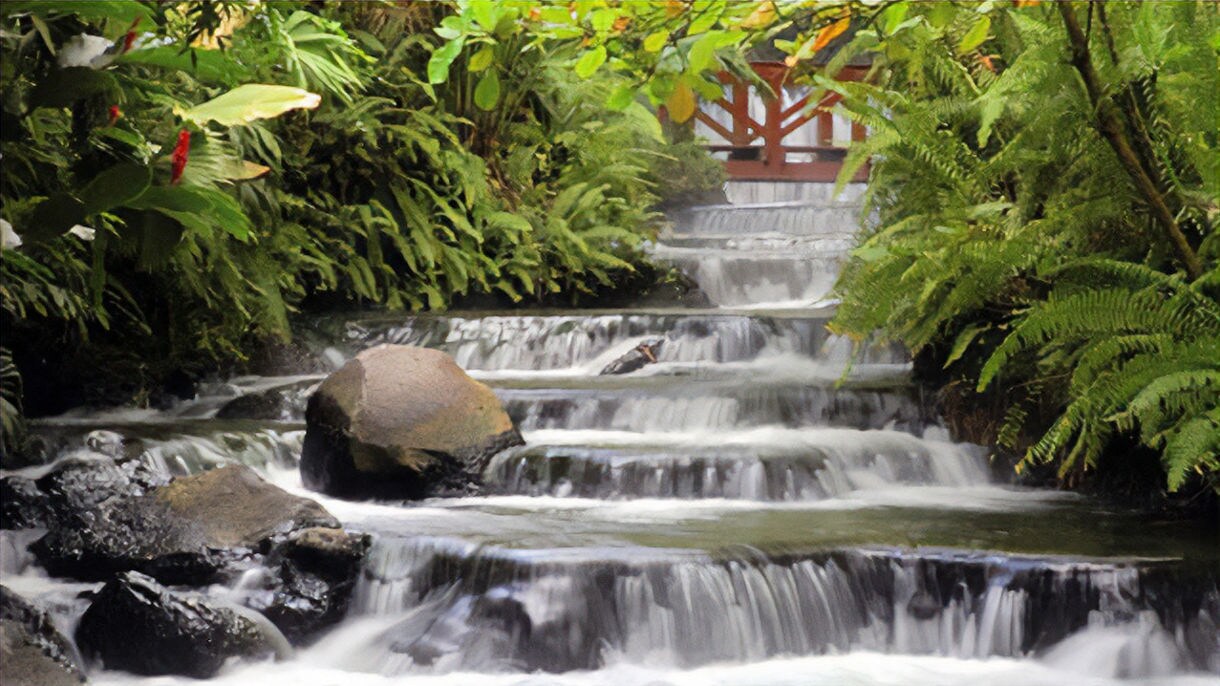 Limon Shore Excursions: Rain Forest Fun in Costa Rica - Princess Cruises