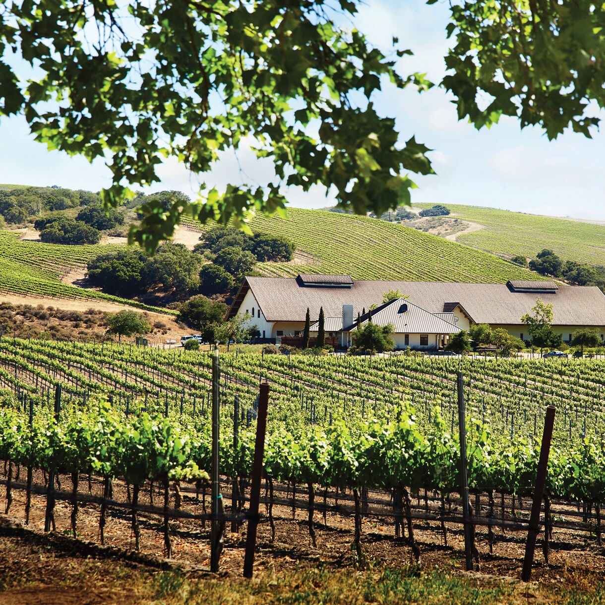 The Best Cruises to Puerto Rico - Princess Cruises