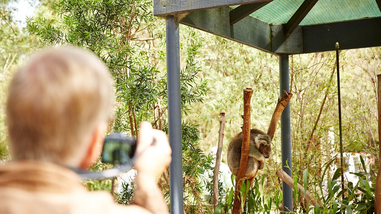 Melbourne Shore Excursions: Explore Wildlife - Princess Cruises