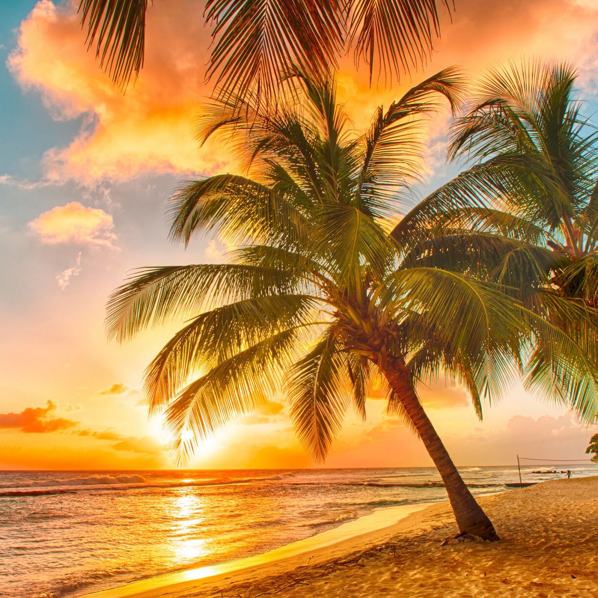 Princess Cruises: Award-Winning Cruises & Deals - Princess Cruises