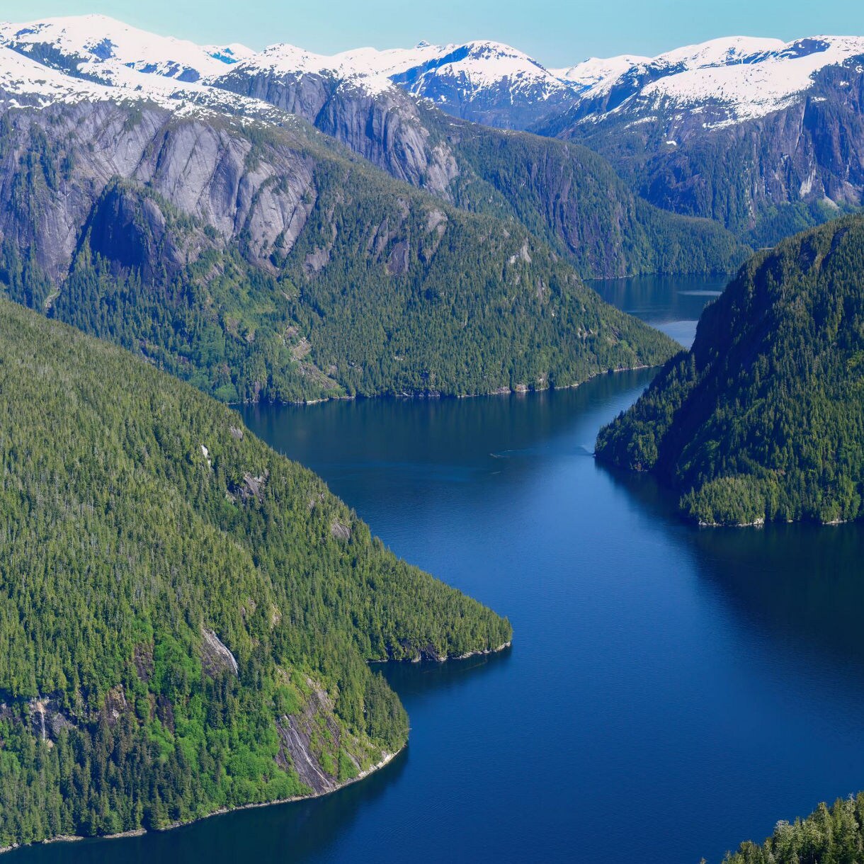 The Best Cruises to Ketchikan-プリンセス・クルーズ