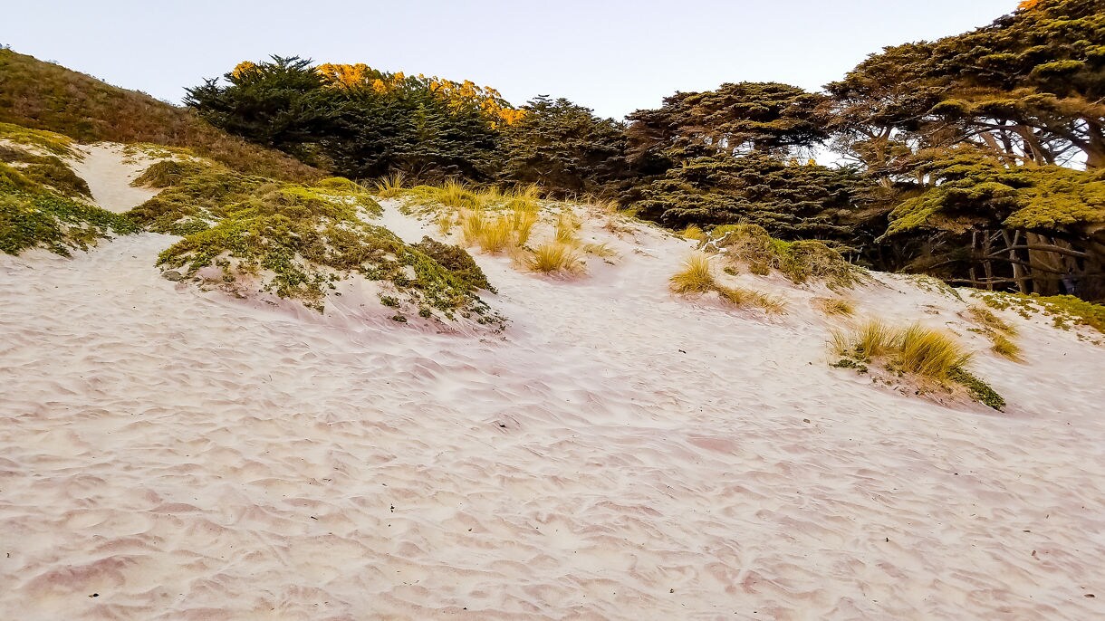 Experience Pink Sand California Beaches - Princess Cruises