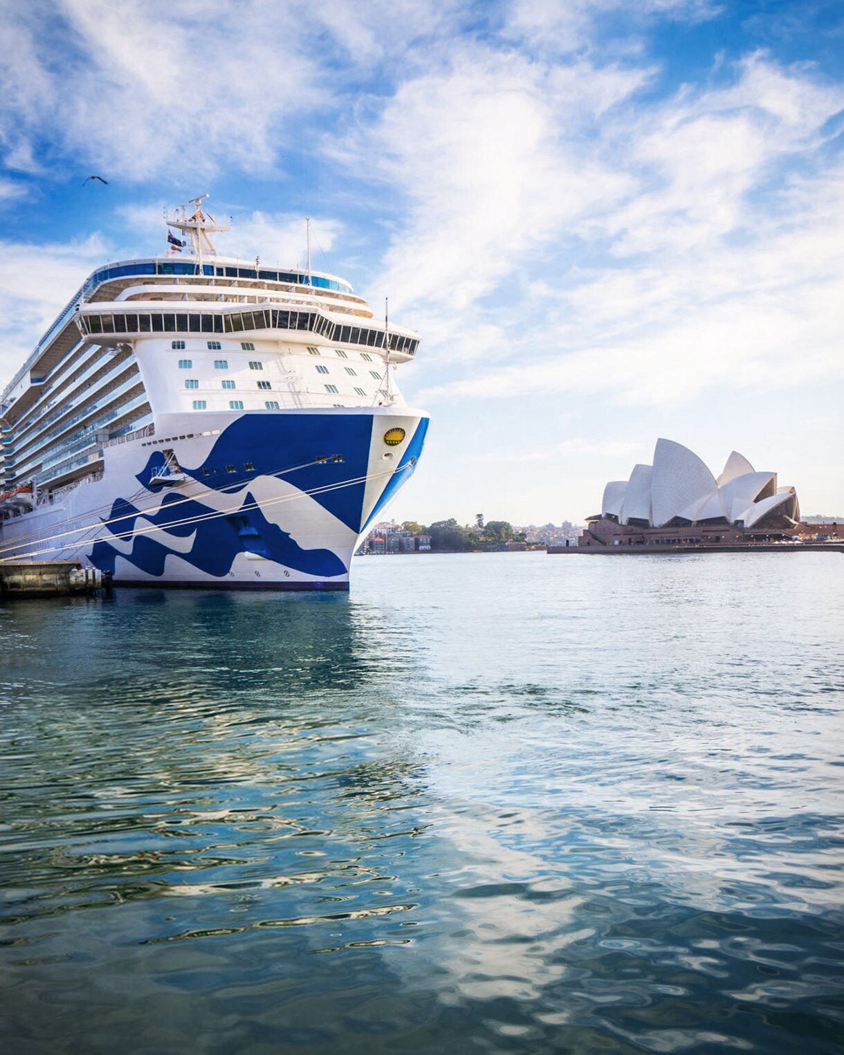 Up to $1,800 on Shore Excursions - Princess Cruises