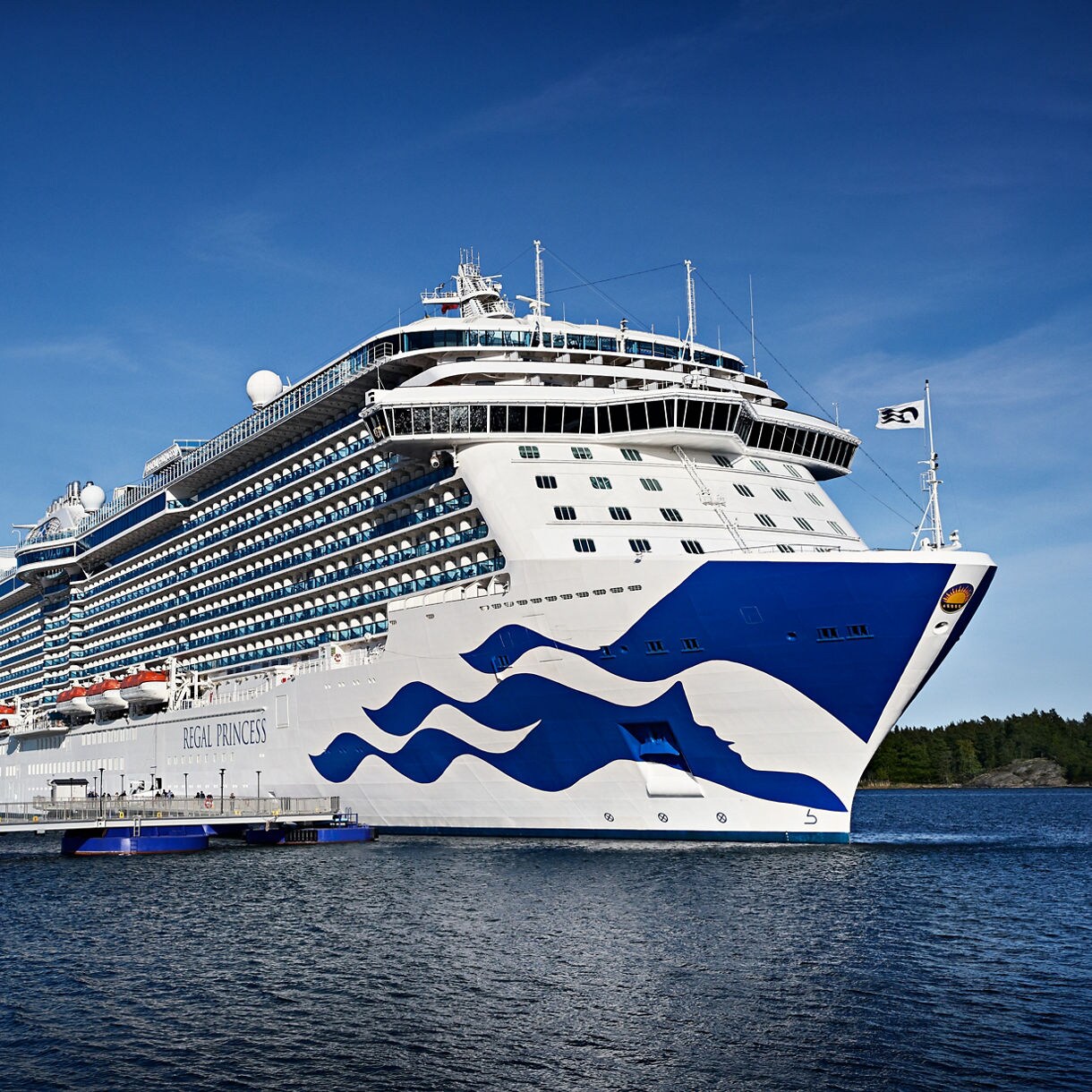 Princess Cruise Ships - Best Cruise Ships - Princess Cruises