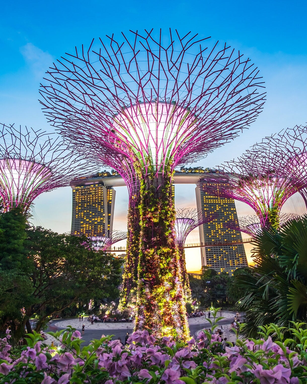 Cruises – Cruise Vacations – Find Best Cruises - Princess Cruises