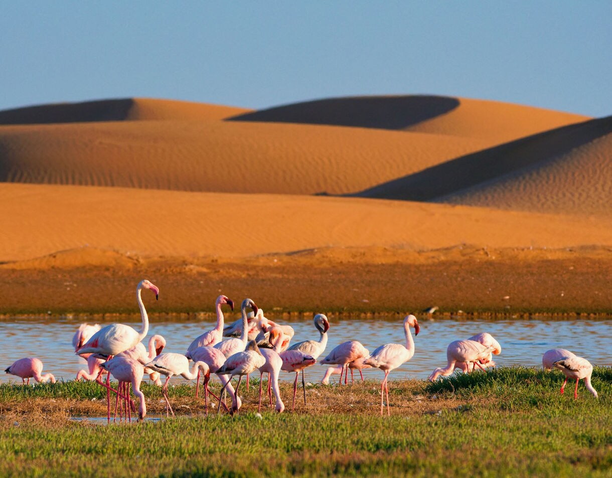 Cruises to Walvis Bay, Namibia - Princess Cruises