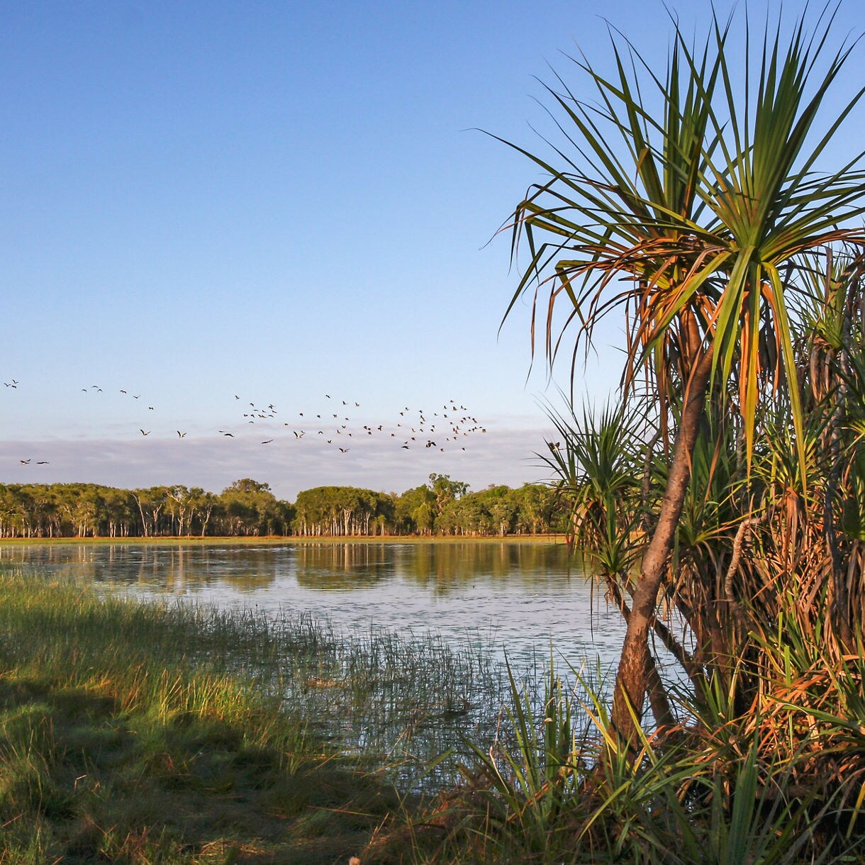 Cruises to Darwin, Australia - Princess Cruises