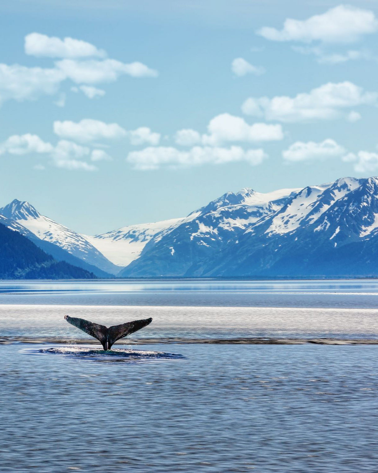 Princess Picks: Most Interesting Cruises - Princess Cruises