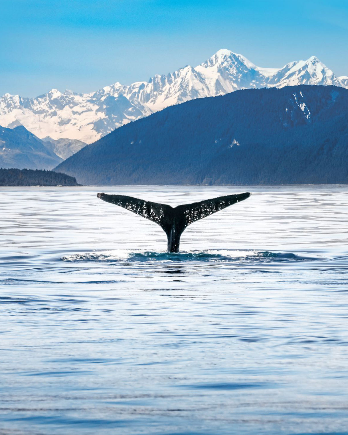 Princess Cruises: Award-Winning Cruises & Deals - Princess Cruises